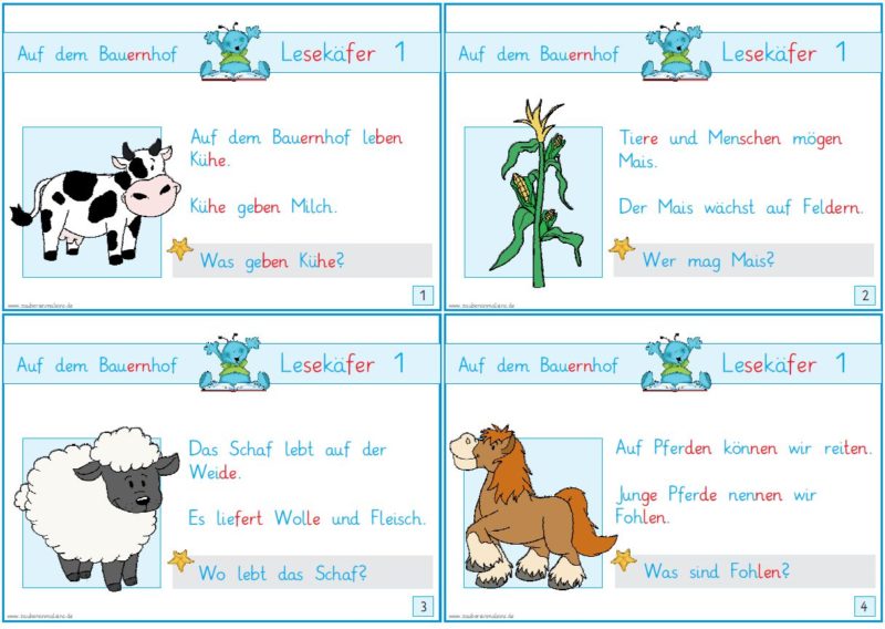 Lesekäfer: Auf dem Bauernhof – Zaubereinmaleins Shop