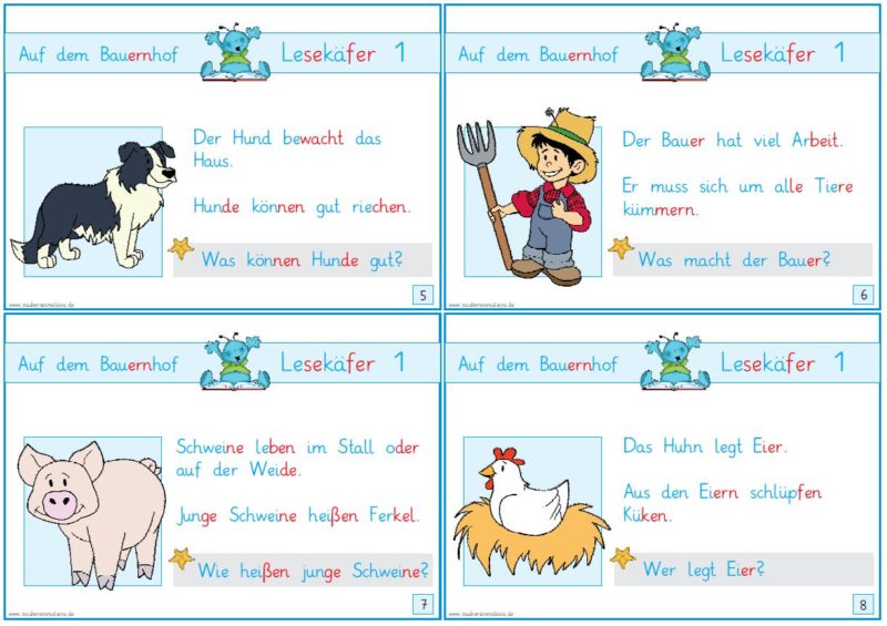 Lesekäfer: Auf dem Bauernhof – Zaubereinmaleins Shop