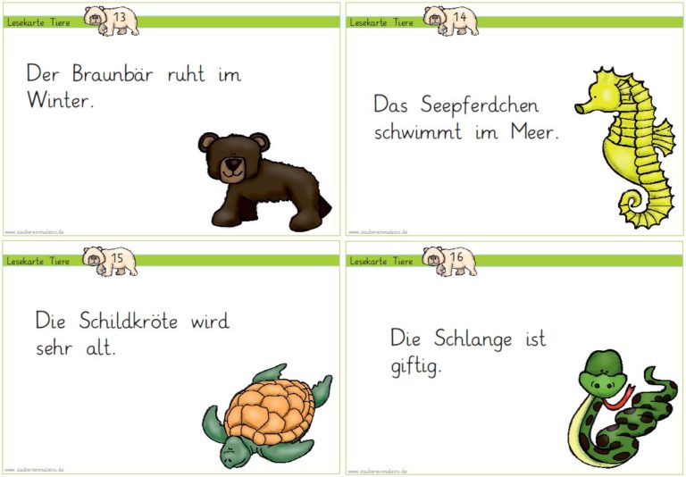 Lesekarten Tiere – Zaubereinmaleins Shop