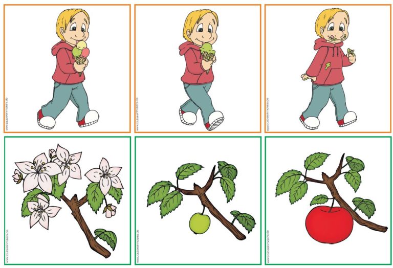 10 einfache Bildfolgen – Zaubereinmaleins Shop