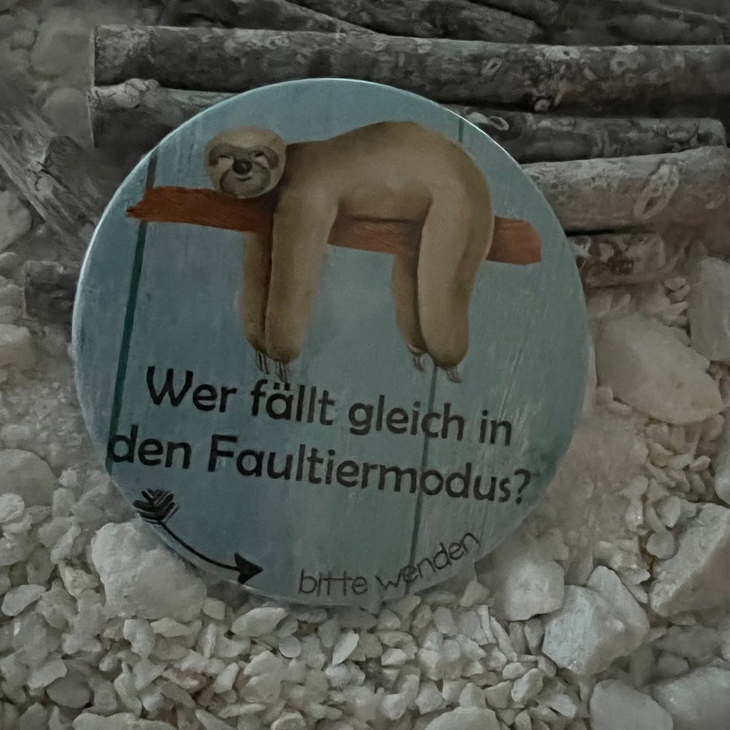 IMG_2656 – Zaubereinmaleins Shop